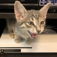 PWM Slope Setting | The FreeBSD Forums